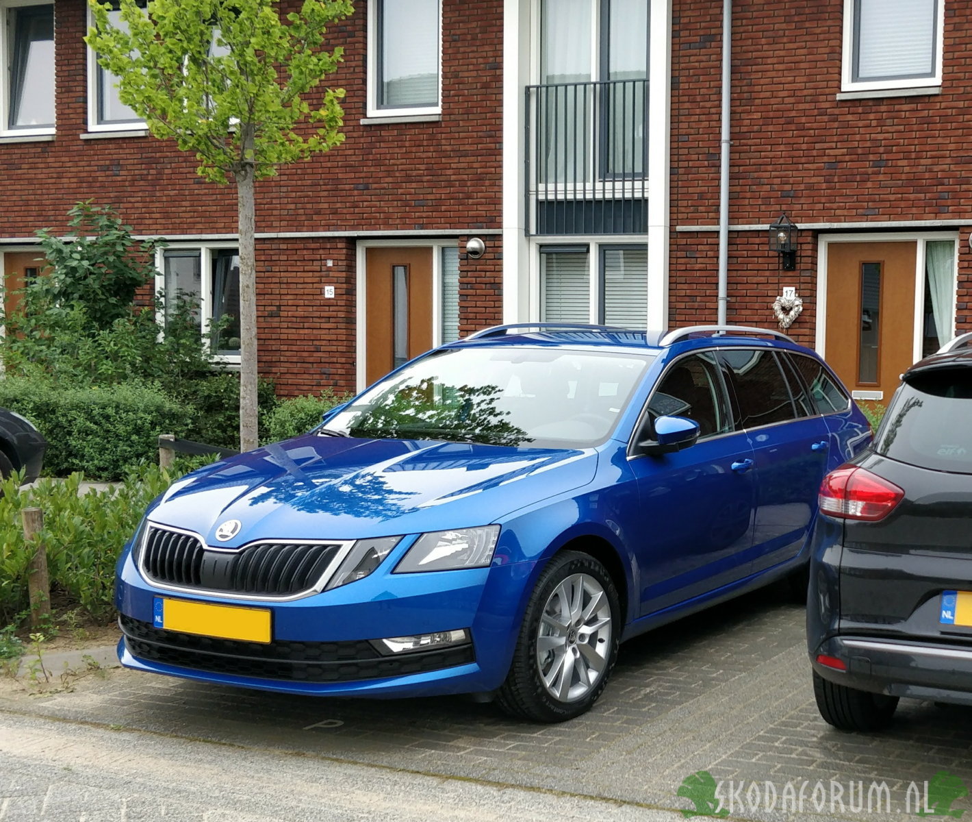 Octavia Combi 1.0 TSI Ambition Business DSG (2018) kleur Race Blue ...